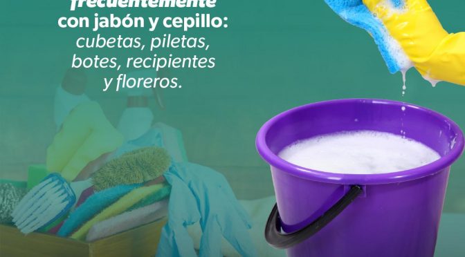 GEM | Combate el dengue desde casa con estas sencillas acciones que comparte la SSM